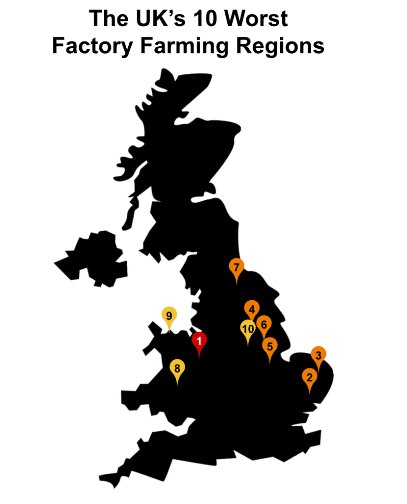 British Meat Production: Perceptions vs Reality - Bryant Research